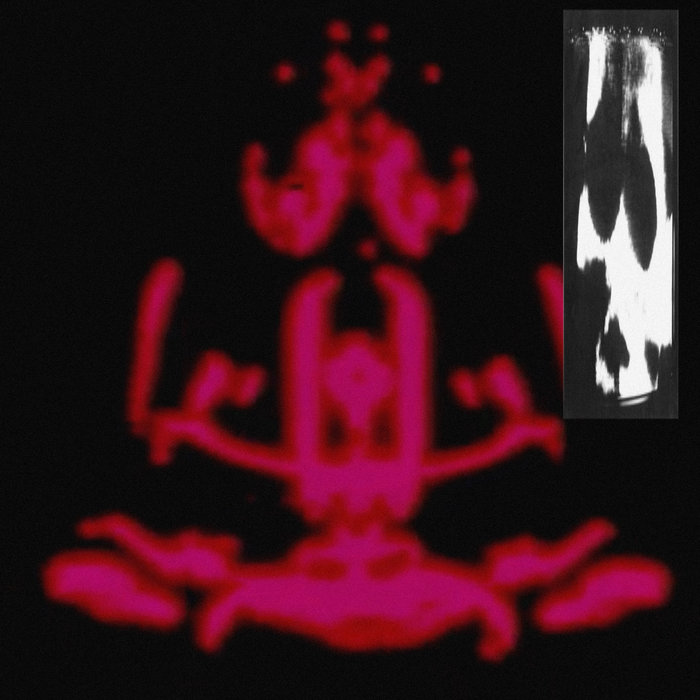 File002 | Hard Signal | rabiesxyz