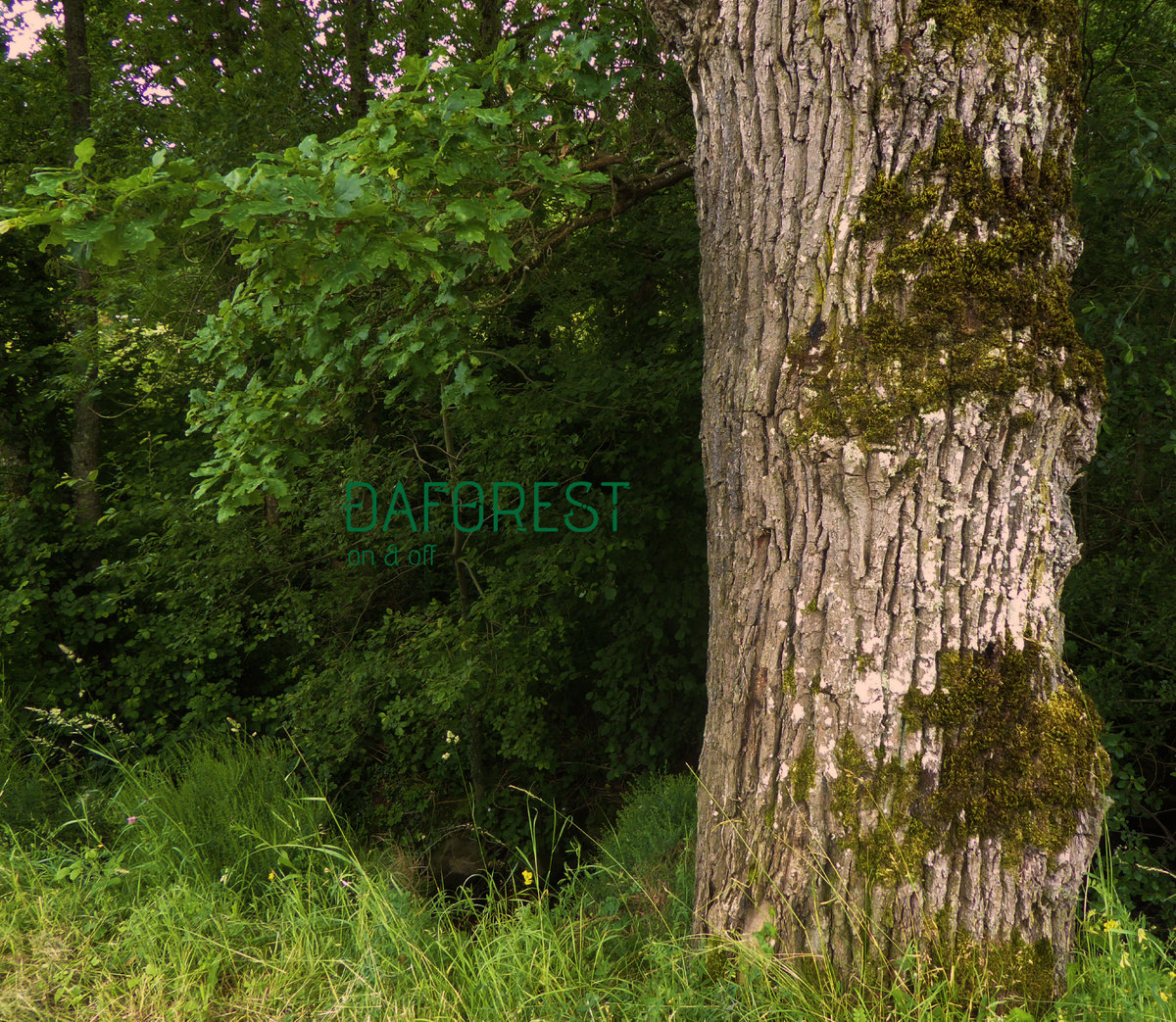 On & Off | DAFOREST