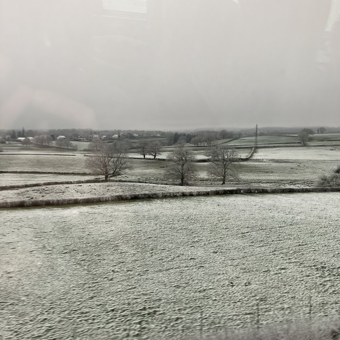 david | RIP DRARI + MAU DRARI