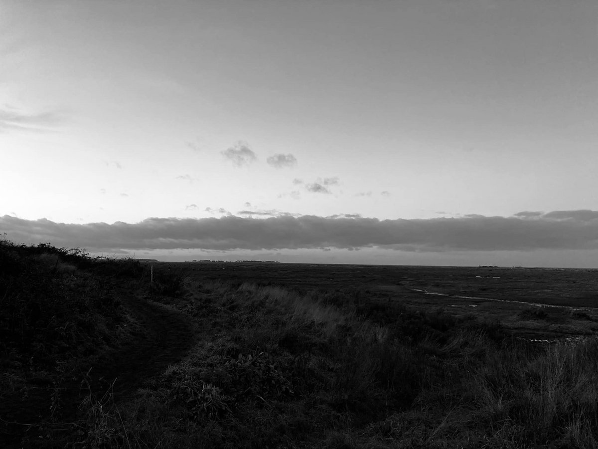 Gratitude | Cousin Silas