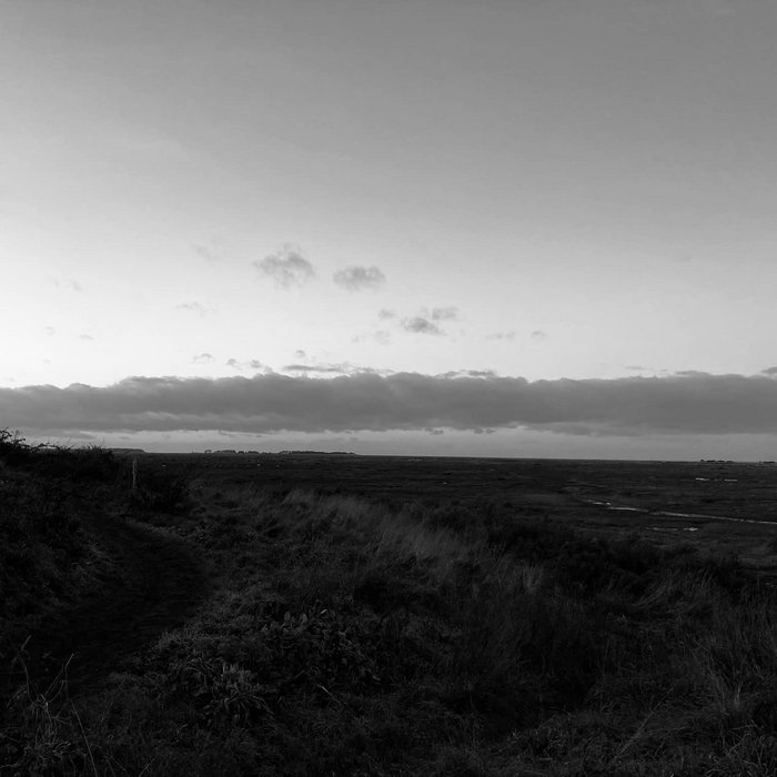 Gratitude | Cousin Silas