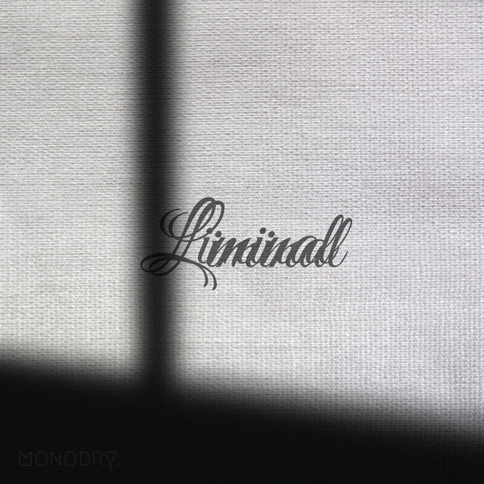 Liminal | monodry. | Dark Heart Recordings Future Garage Music Label