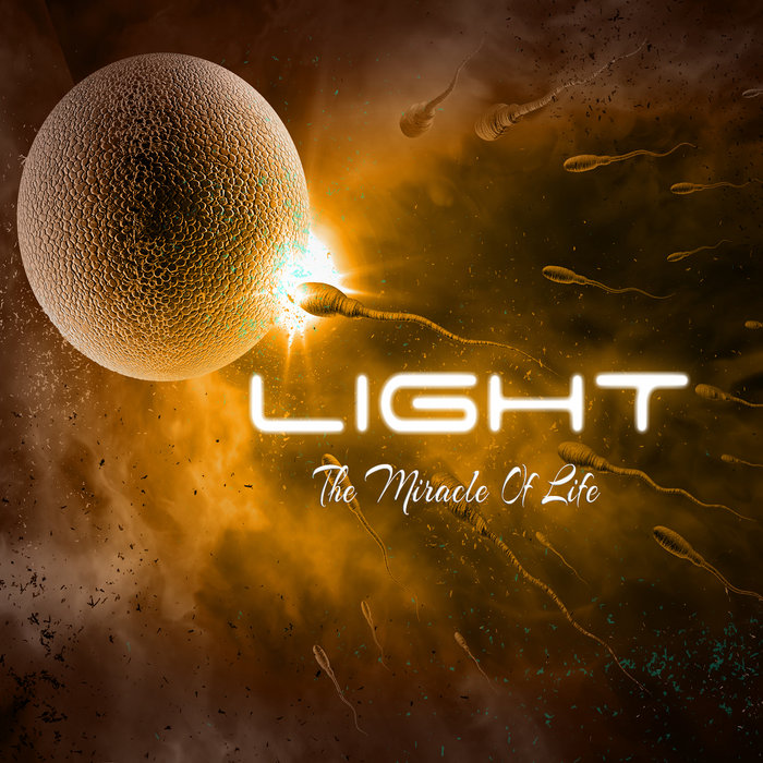 The Miracle Of Life | LIGHT