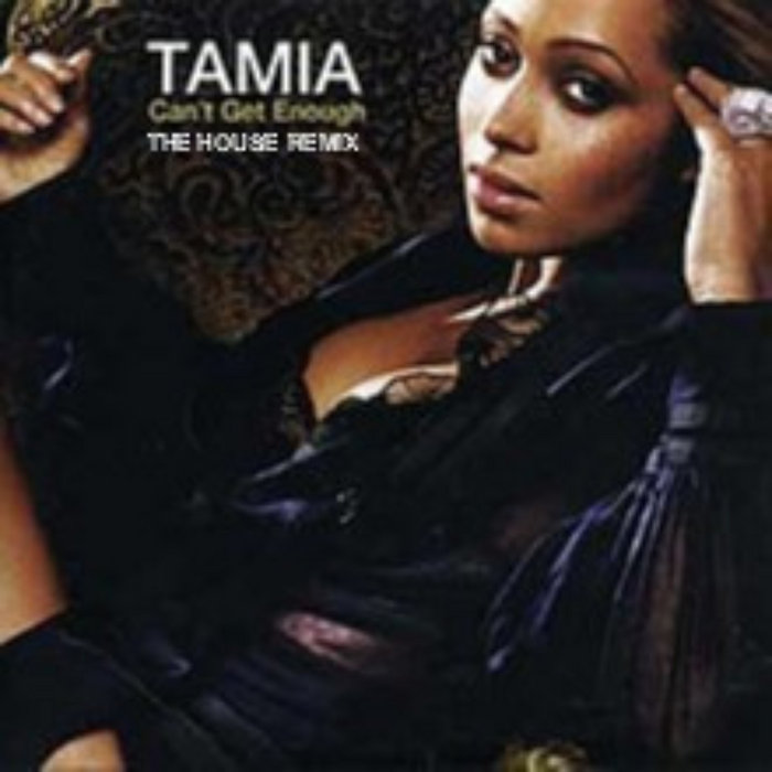 Tamia Can T Get Enough House Remix The Unspeakable Experience