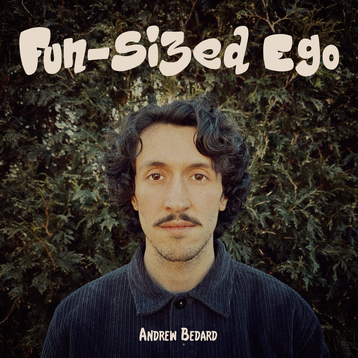 Fun-Sized Ego | Andrew Bedard