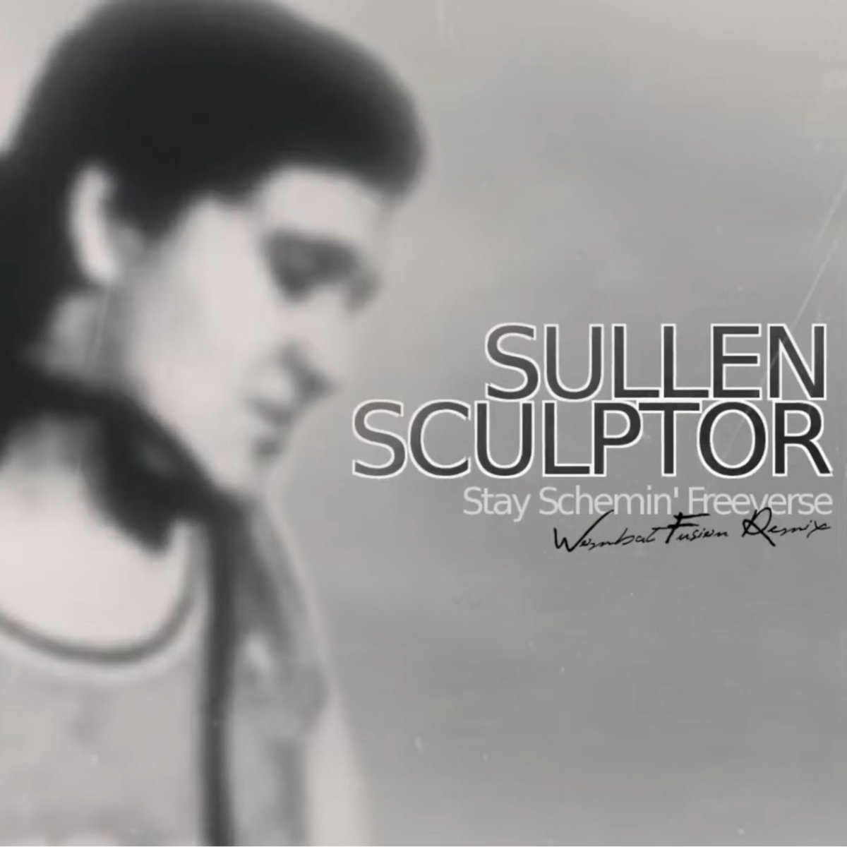 Stay Schemin' Freeverse - Single | Wombat Fusion