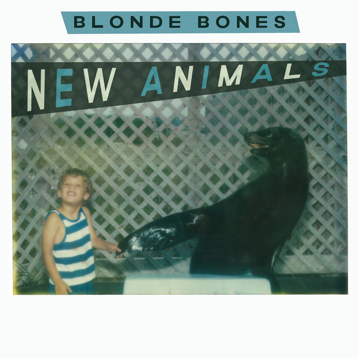 New Animals | Blonde Bones