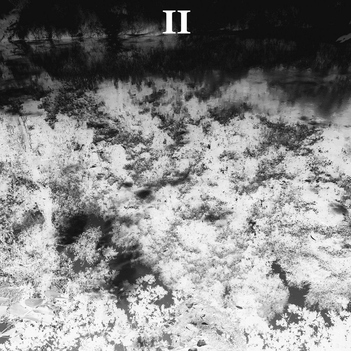 Neu Tanz II | Cold Keys