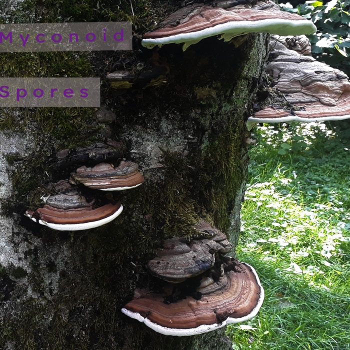 Spores | Myconoid