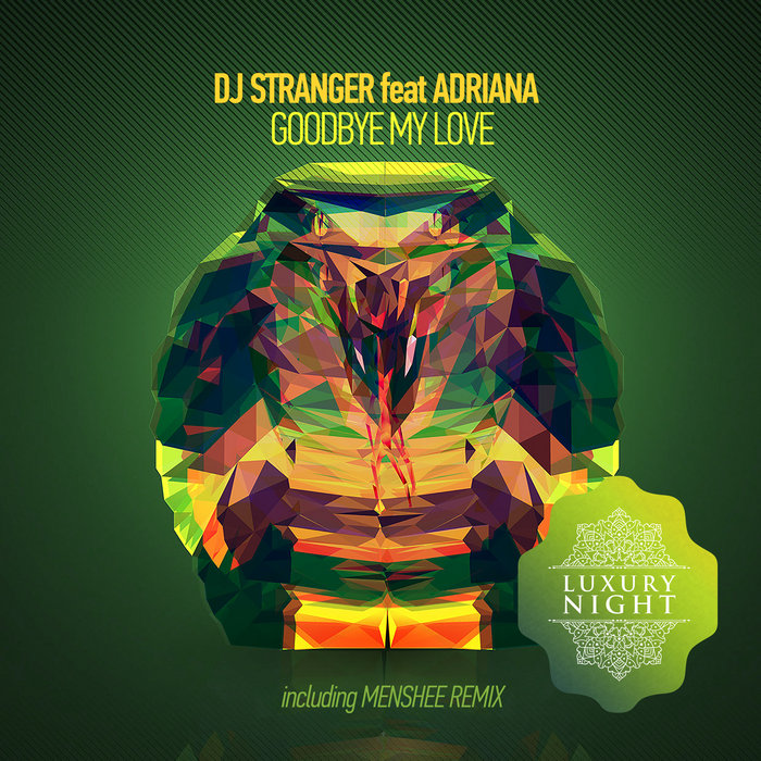 Goodbye My Love | DJ Stranger feat. Adriana | DJ Stranger
