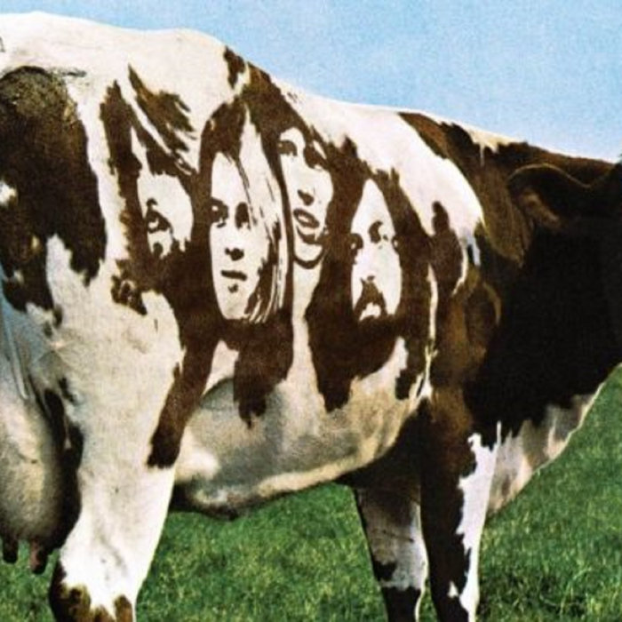 Atom heart mother (Pink Floyd tribute) | The Six Million Dollar Guitar