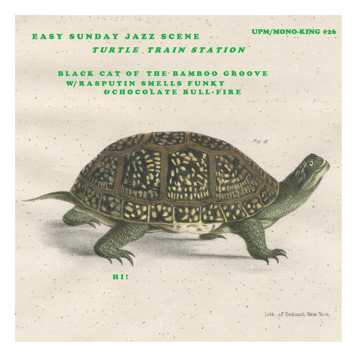 Turtle Train Station | The Easy Sunday Jazz | Captain Feeney OFFICIAL