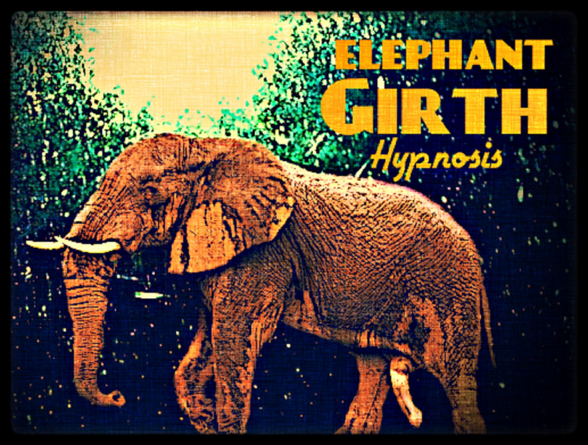 Elephant Trunk Girth Hypnosis Penis Thickness Binaural Isochronic ...