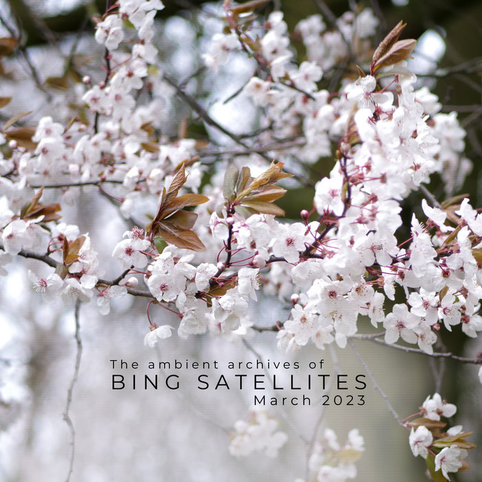 The ambient archives - March 2023 | Bing Satellites