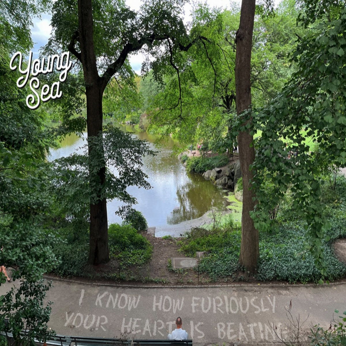 I Know How Furiously Your Heart is Beating | Young Sea