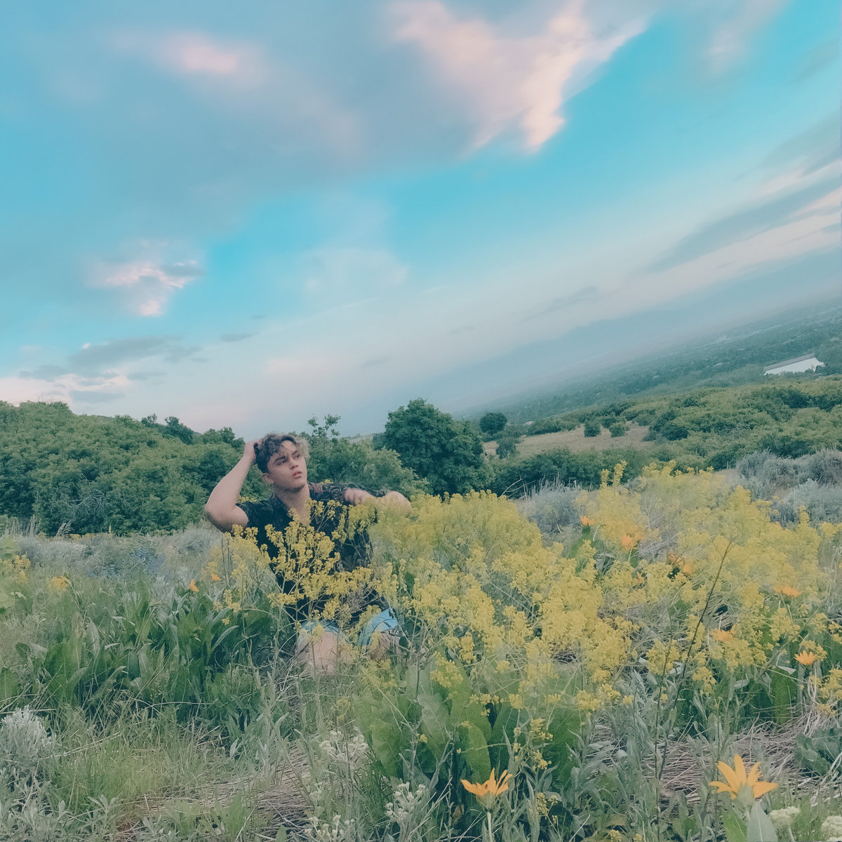 Purgatory | Tim Tincher