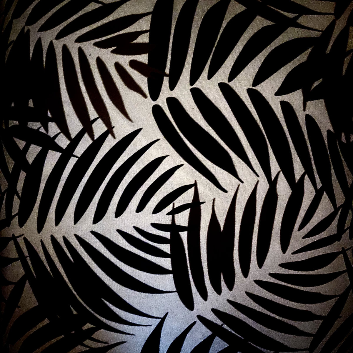 Light In The Dark | Future Intent