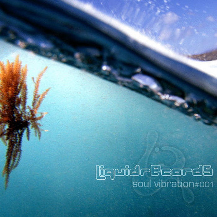 Soul Vibrations 001 - Various Artists | Liquid Records