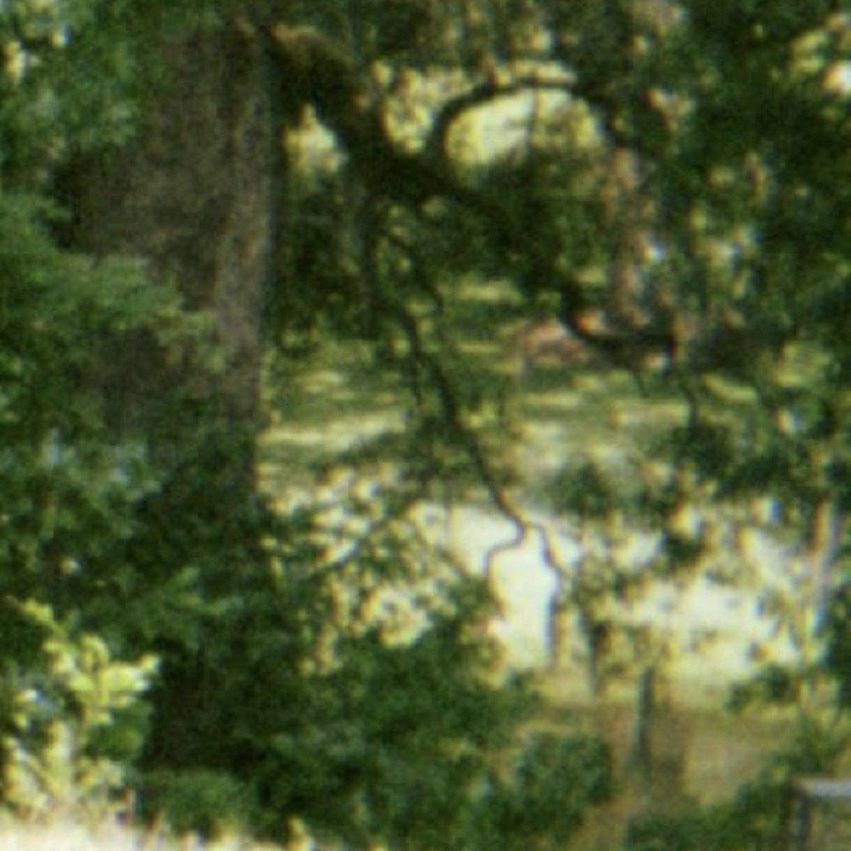 we strain | jason calhoun