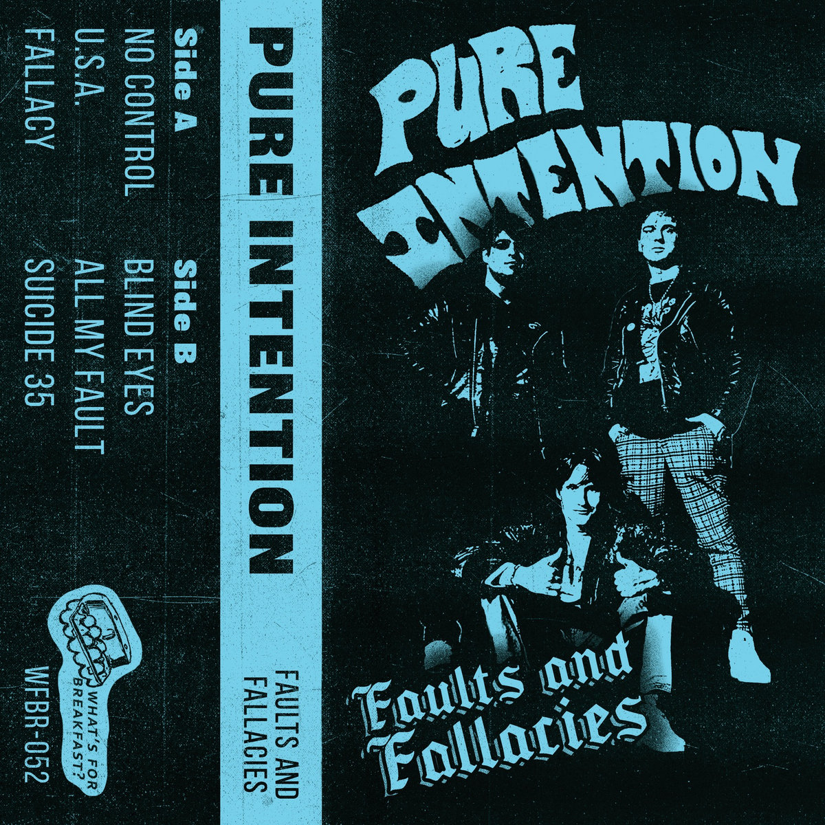 Faults and Fallacies | Pure Intention