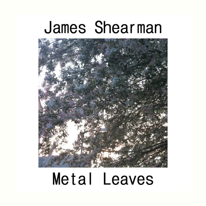 Metal Leaves | James Shearman