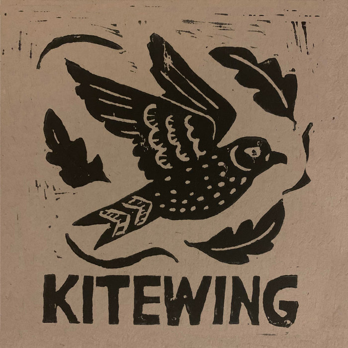 Kitewing | Kitewing