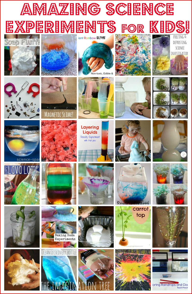 Ks1 Project Homework | Prihanl | erespairit