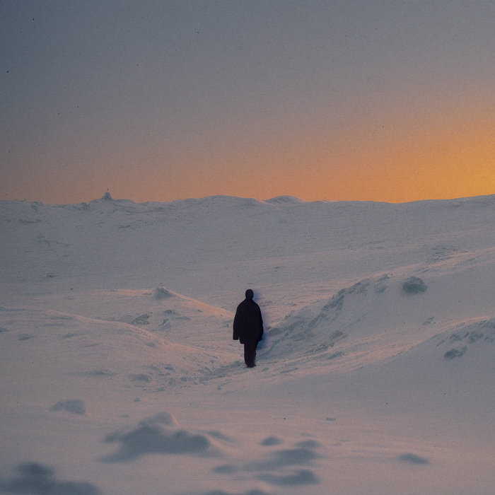 Closer | digital moss, Vladimir Frith | digital moss