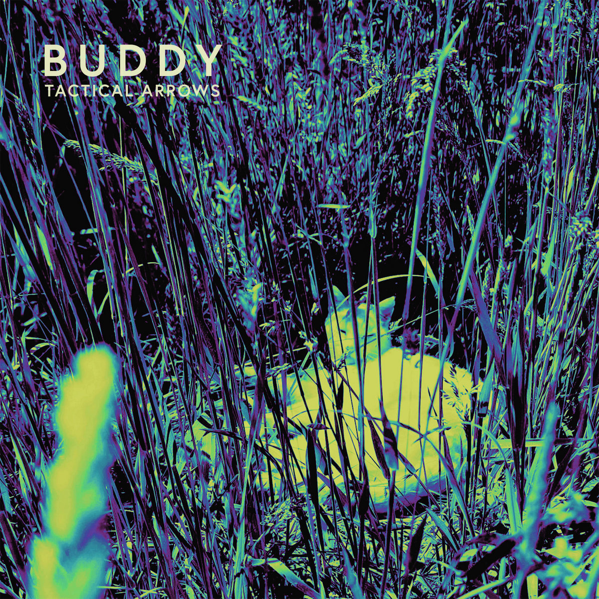 Buddy | Tactical Arrows