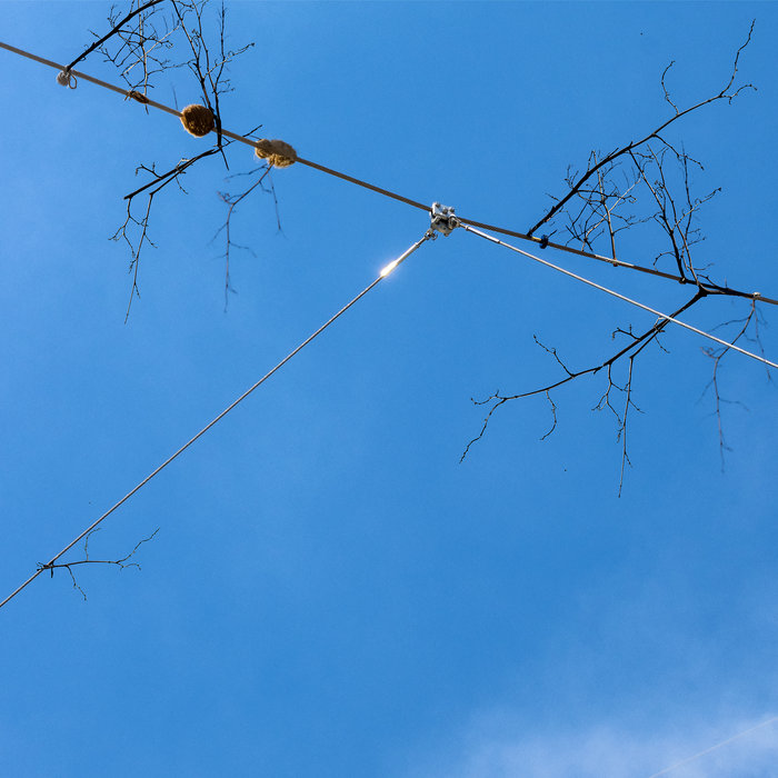 Halcyon Future | Manuel Troller | meakusma