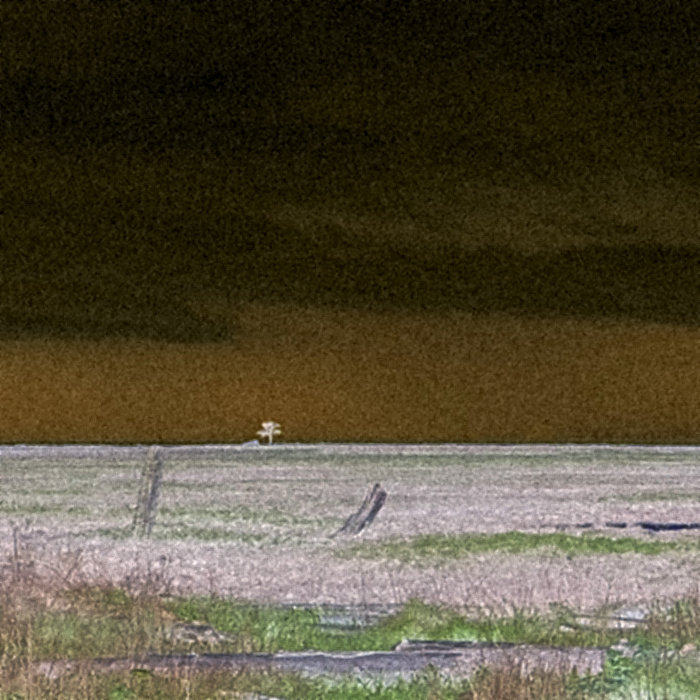 the illusion of understanding | callotasis