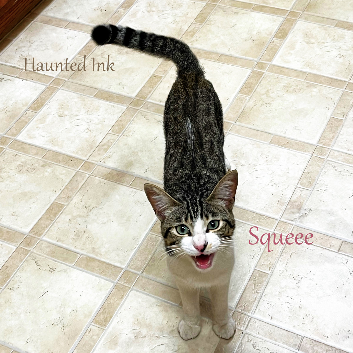 Squee | Haunted Ink