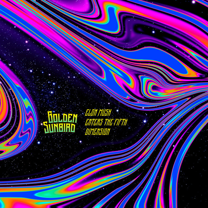 Elon Musk enters the Fifth Dimension | Golden Sunbird