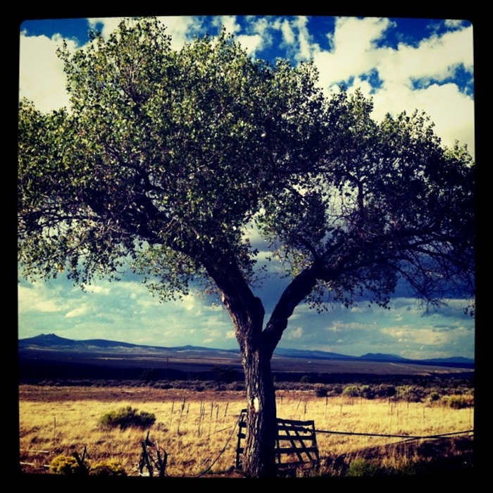 White Pine County, NV | Troy Bronsink