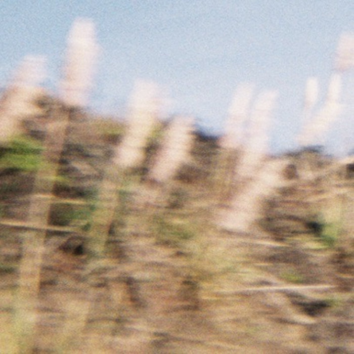 Drive | Austin Manuel