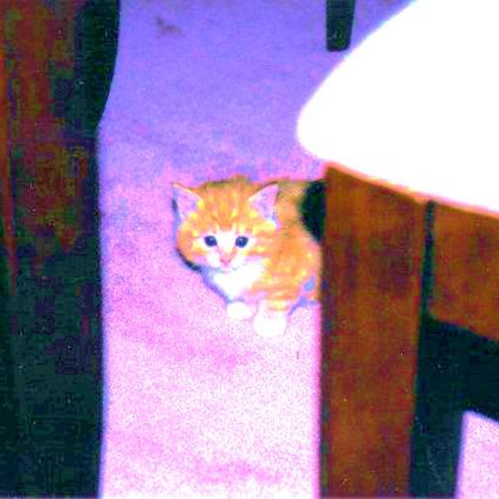 Kitten Ruckus EP | Jessica Ackerley