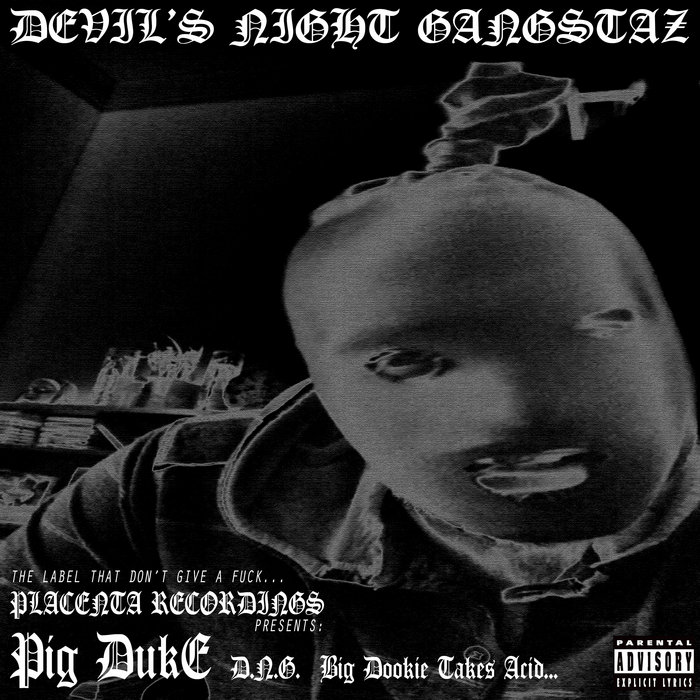 Pig DukE - Big Dookie Takes Acid (Placenta Recordings #707 - 2024 ...