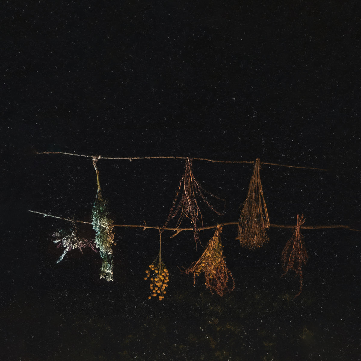 Wilderflowers EP | a lazarus soul