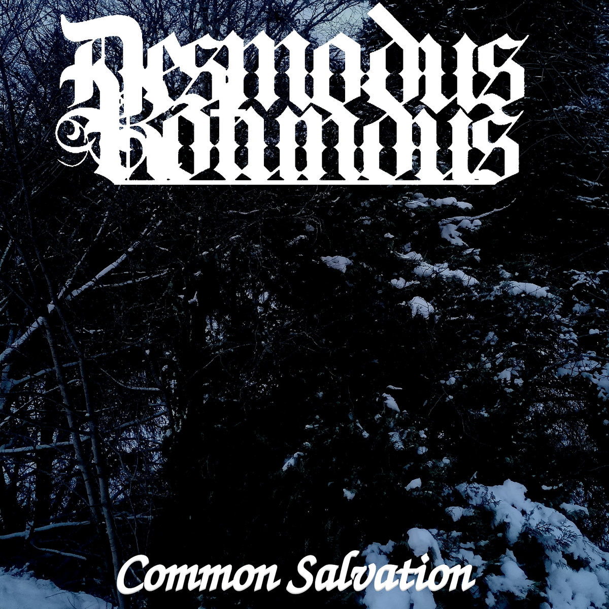 Common Salvation | DESMODUS ROTUNDUS | NATTESORG