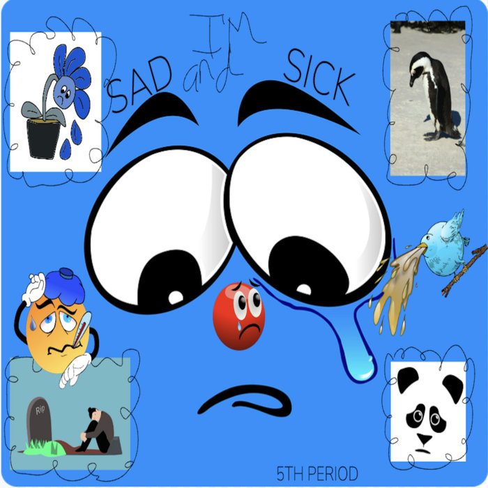 SAD/SICK | 5th Period