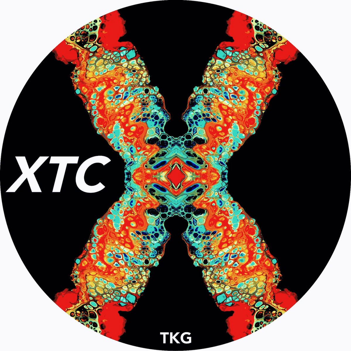 XTC | TKG | DSR Digital