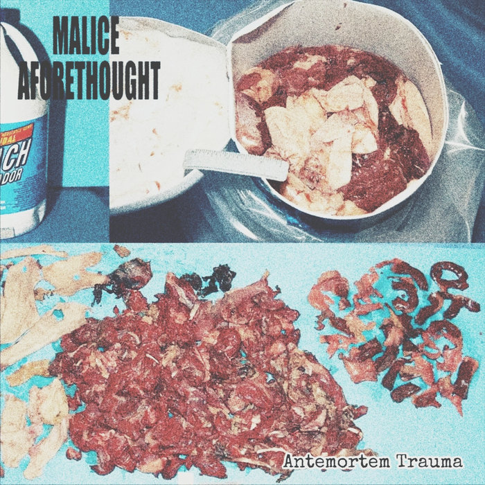 Shredding your brain in a meat grinder | Malice Aforethought