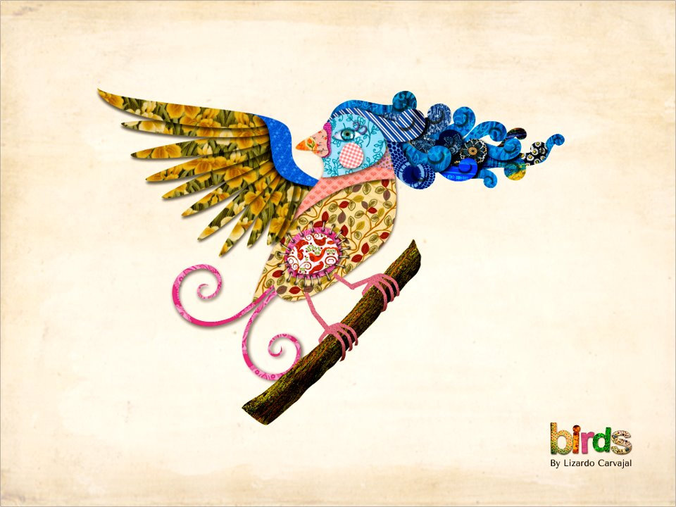 Pajaro Cu | Son Viajero