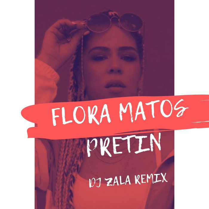 PRETIN - FLORA MATOS (DJ ZALA REMIX ARROCHADO) | DJ ZALA | DJ Zala