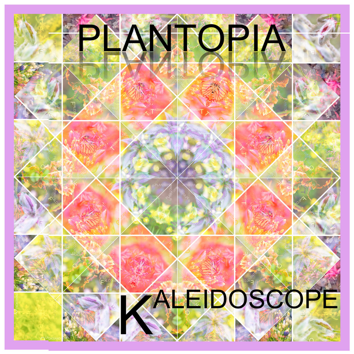 Kaleidoscope | Plantopia