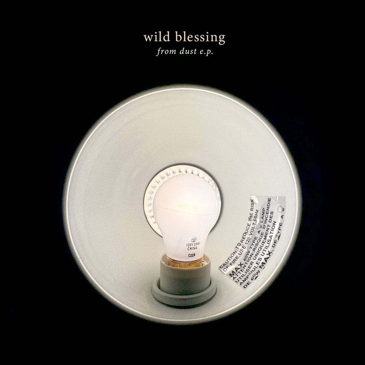 From Dust | Wild Blessing