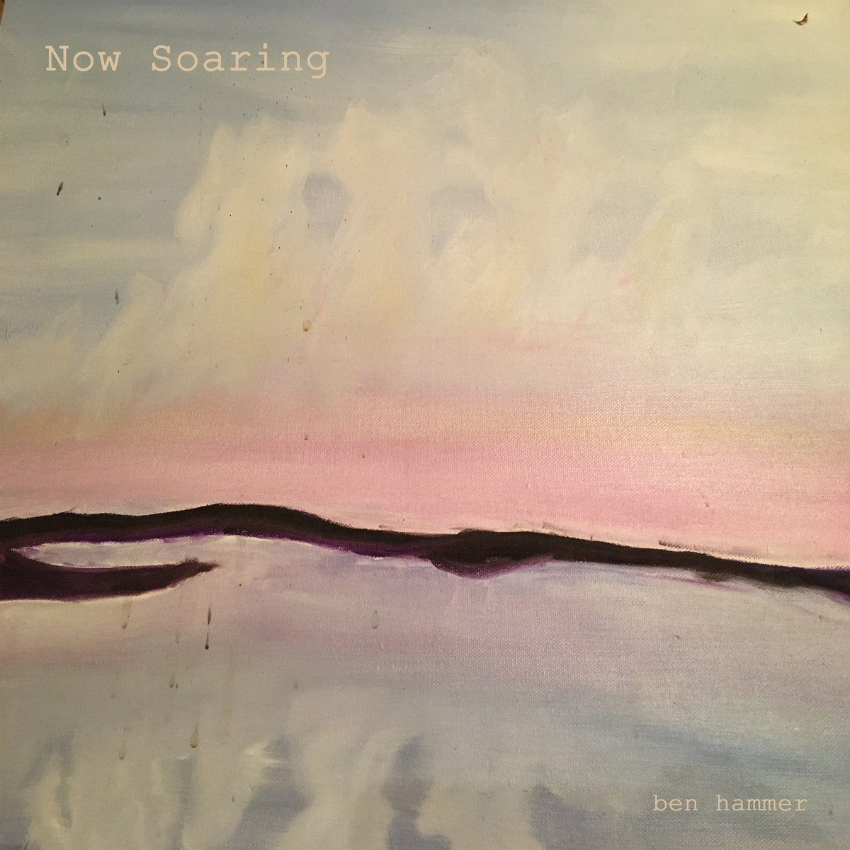 Now Soaring | ben hammer