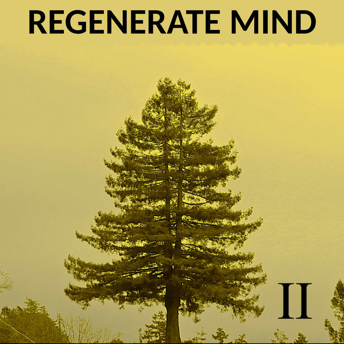 Regenerate Mind II | Regenerate Mind