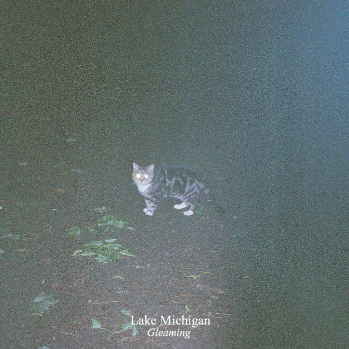 Gleaming | Lake Michigan