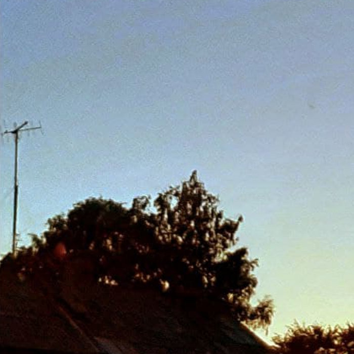 Signals of The Death | Very Dark 死 | Wilhelm Lyons